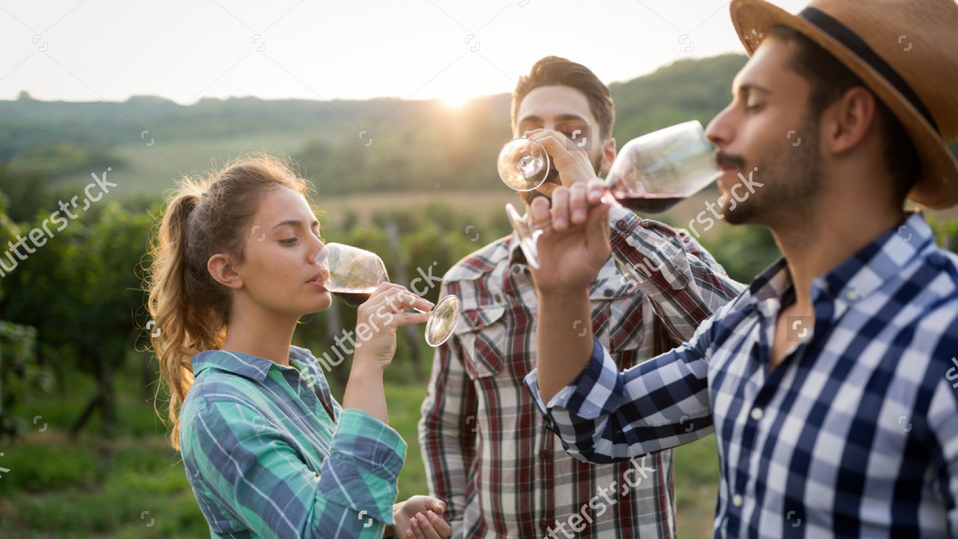 cropped-stock-photo-happy-people-tasting-wine-in-vineyard-579707302.jpg ...